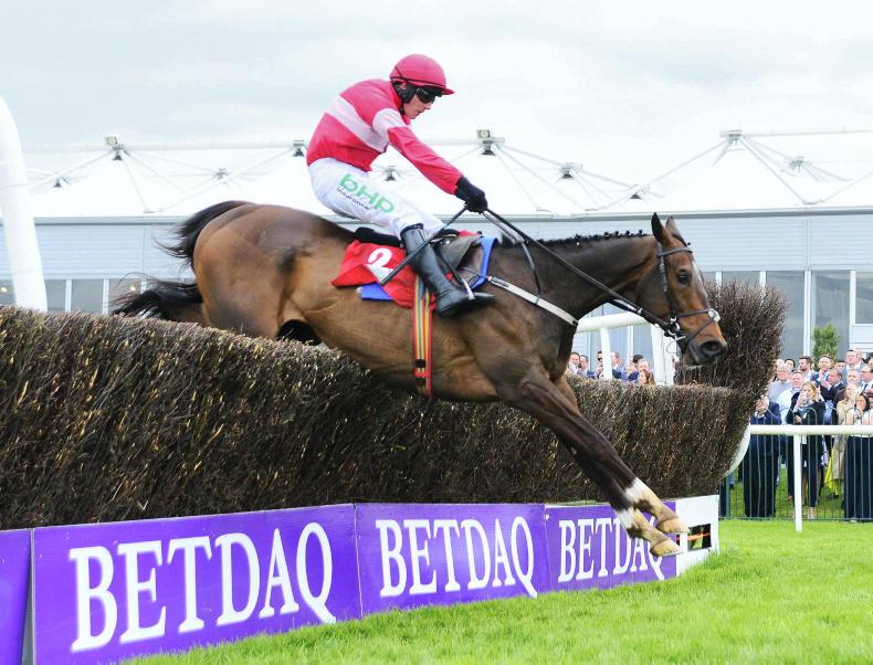 Punchestown | Horse Racing | The Irish Field