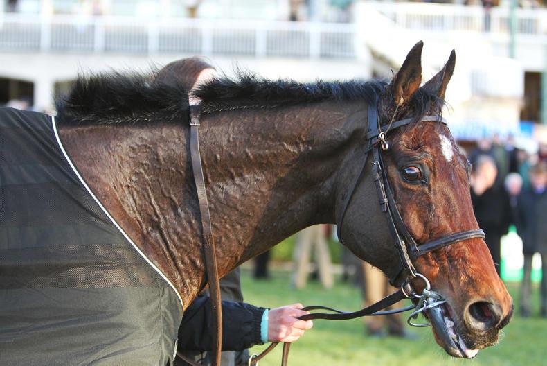 HORSE SENSE: A vet's advice on when and how to use a chifney bit